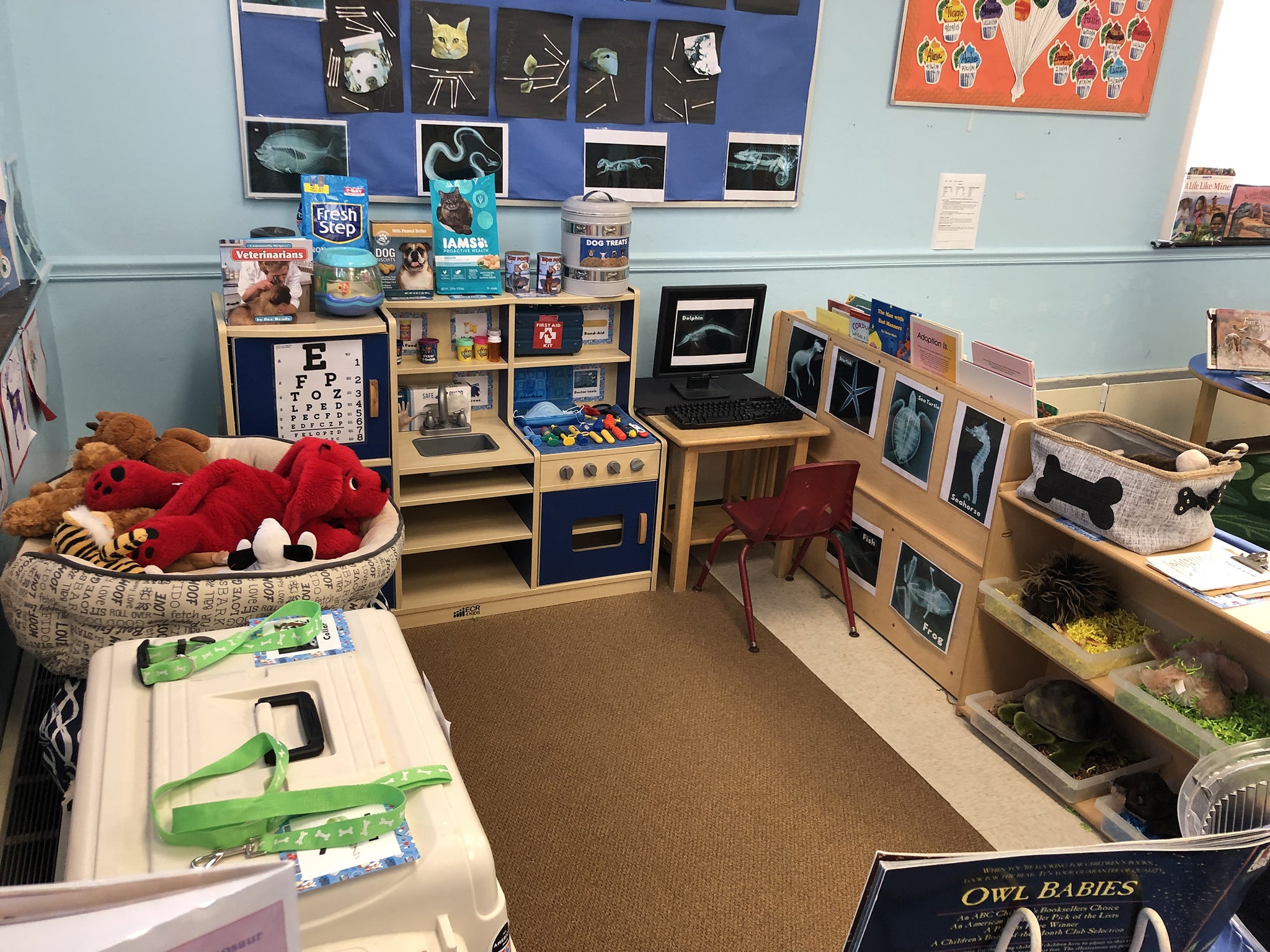 Pet Vet Animal Hospital | Pretend Play Printables for Dramatic Play Ce ...