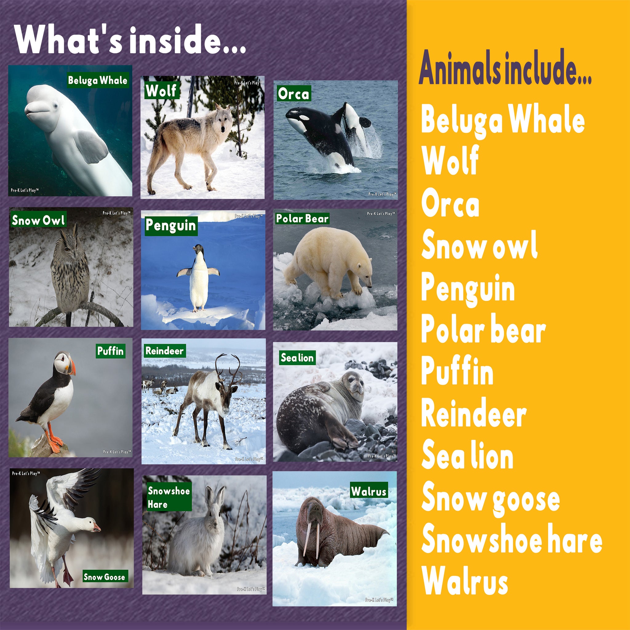 Arctic Winter Animals Number Strip Puzzles | Number Order and Skip Cou ...