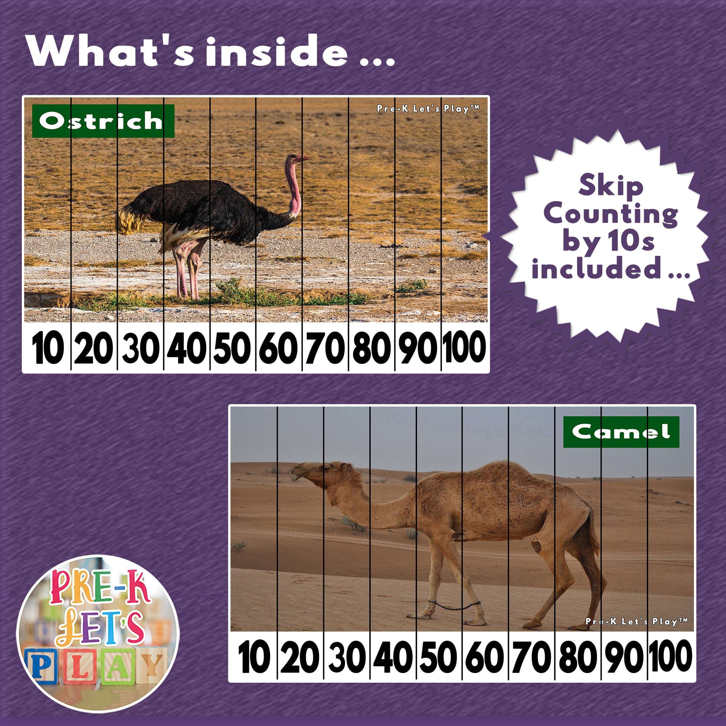 Number Strip Puzzles for Desert Animals | Number Order and Skip Counti ...