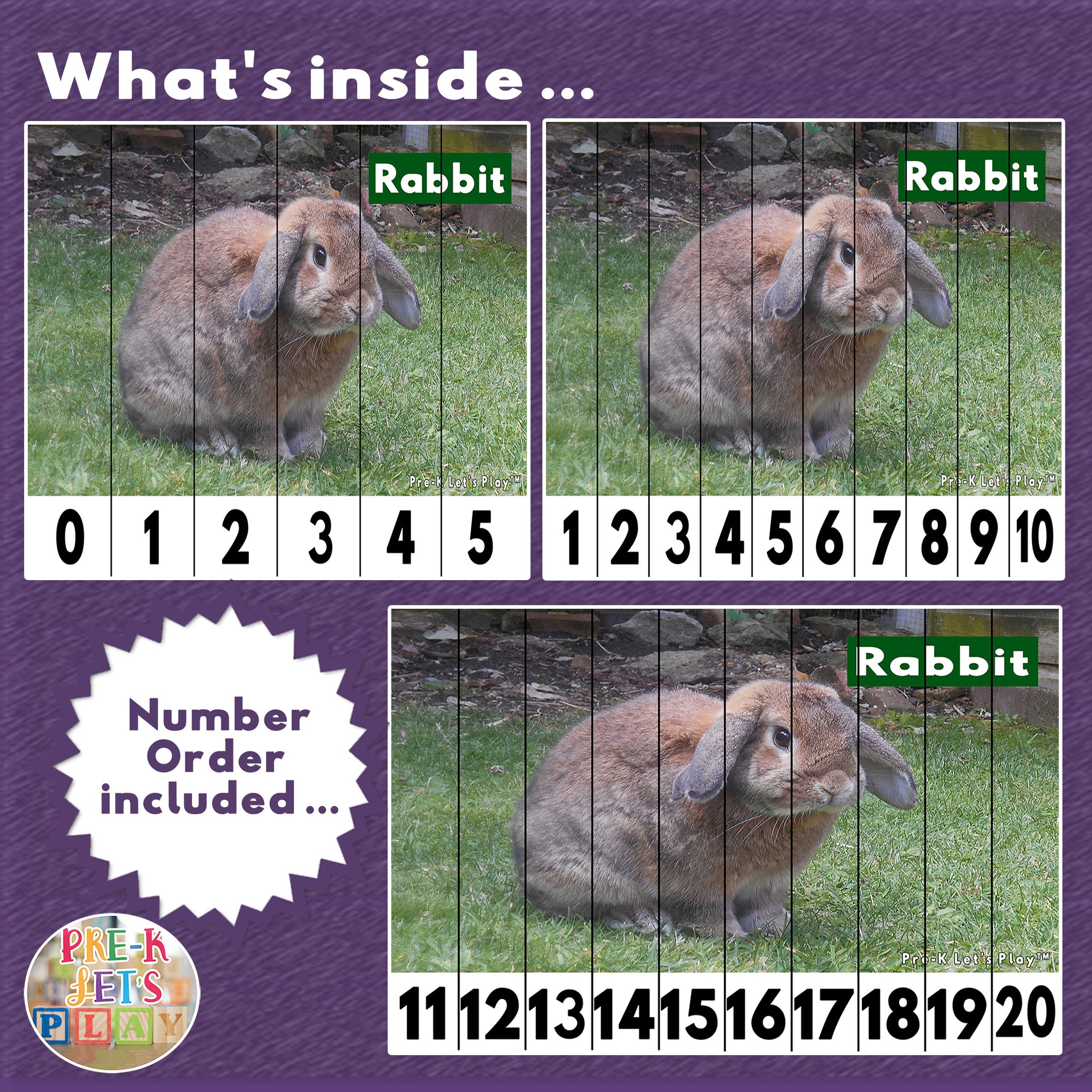 Number Strip Puzzles for Pet Animals | Number Order Sequencing & Skip ...